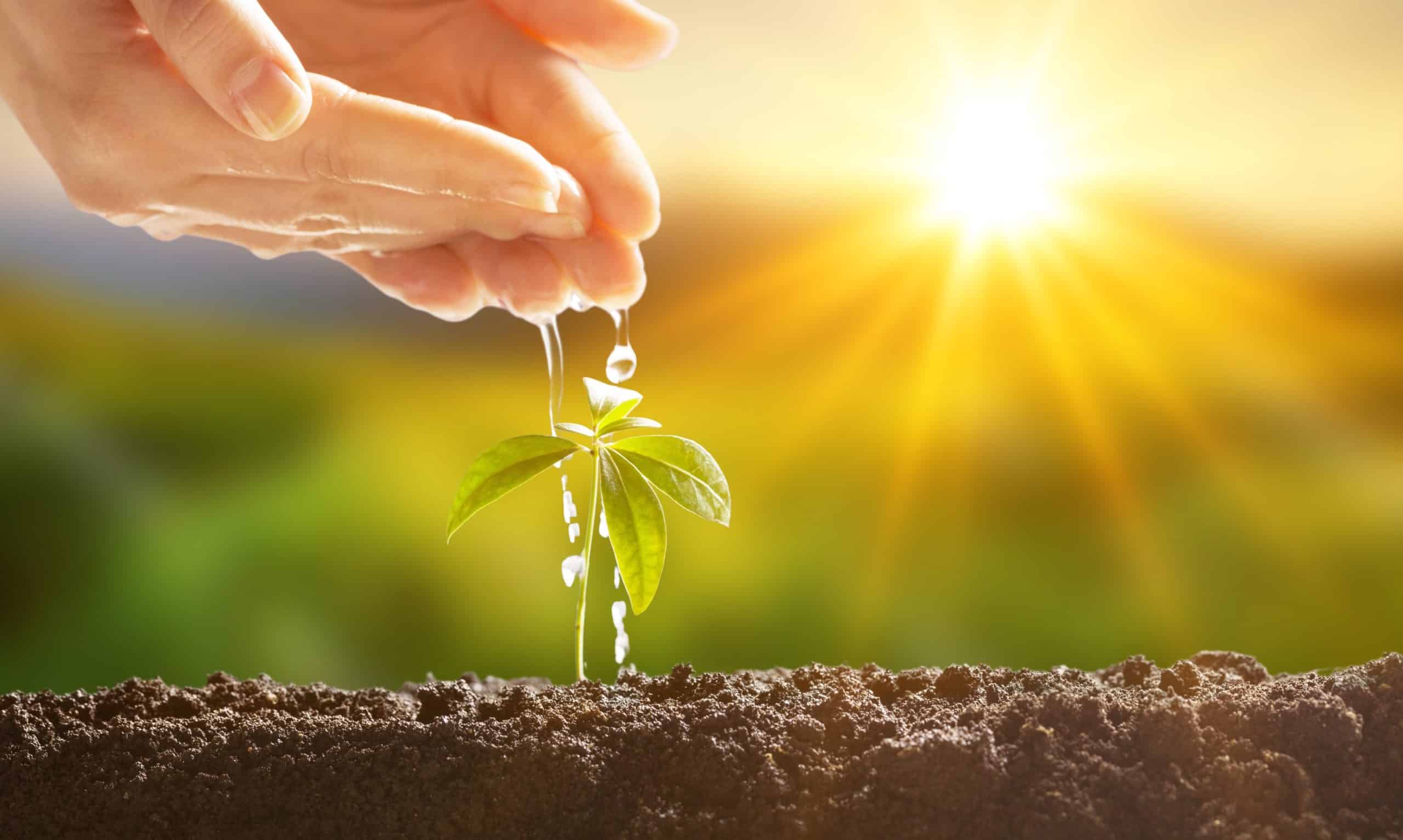 ENTROPY: LIFE SOURCE = GROWTH - HQnotes